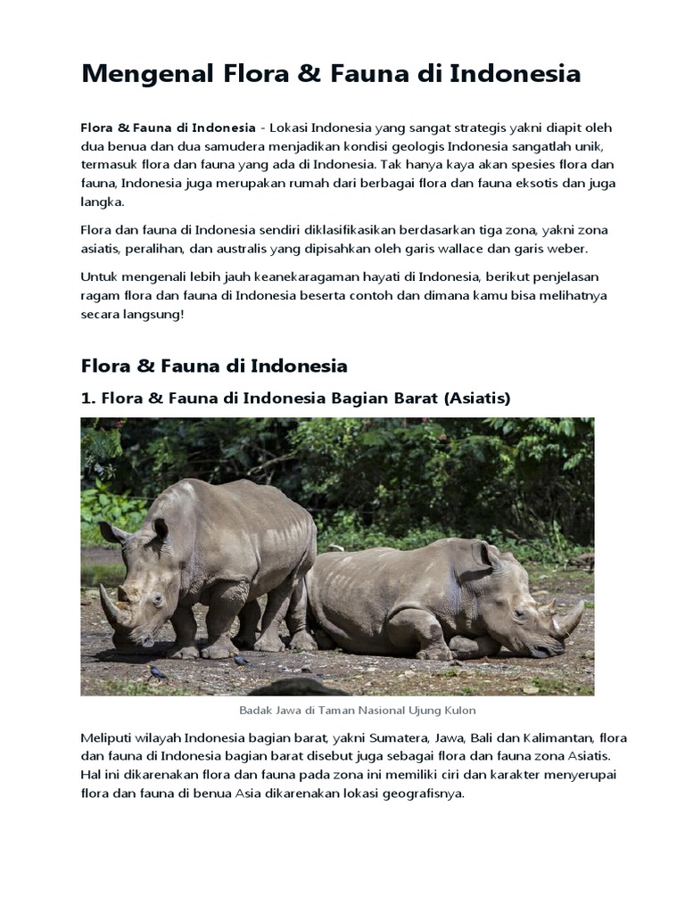 Mengenal Flora | PDF