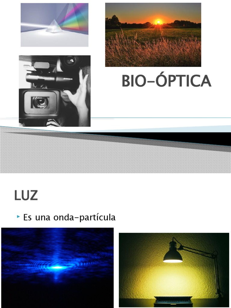 Bio Optica | PDF | Ojo humano | Reflexión (Física)