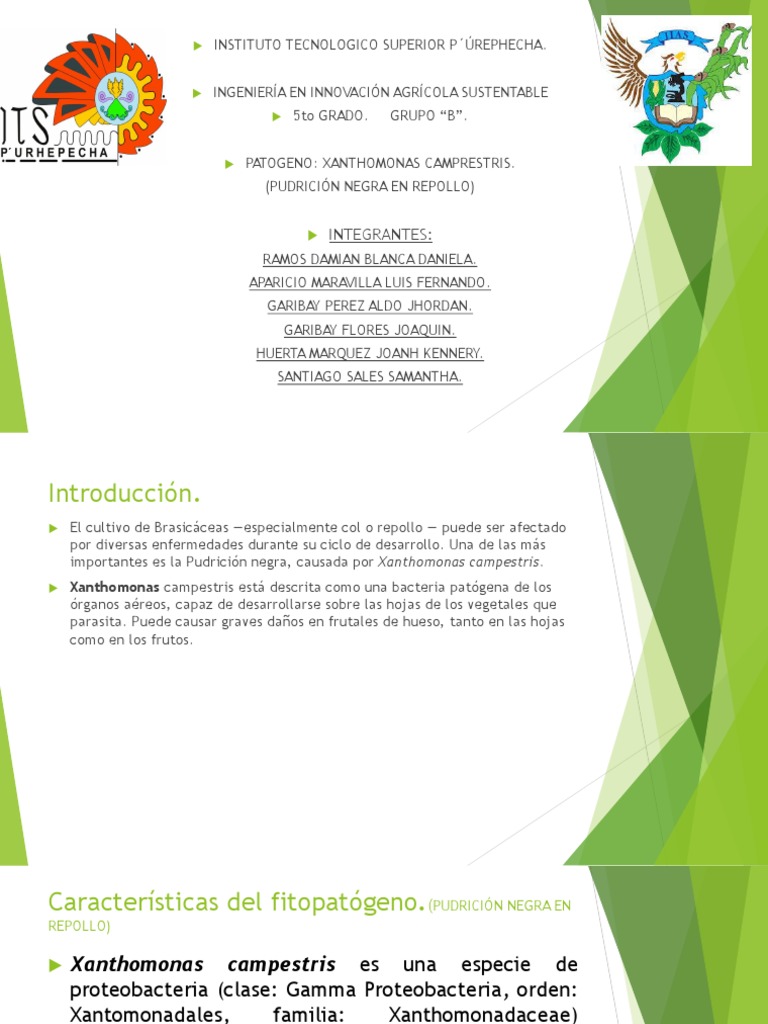 EXPO. Control de Patogeno. | PDF | Las bacterias | Infección