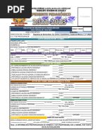 FORMATO INS - 10 Nuevo | PDF