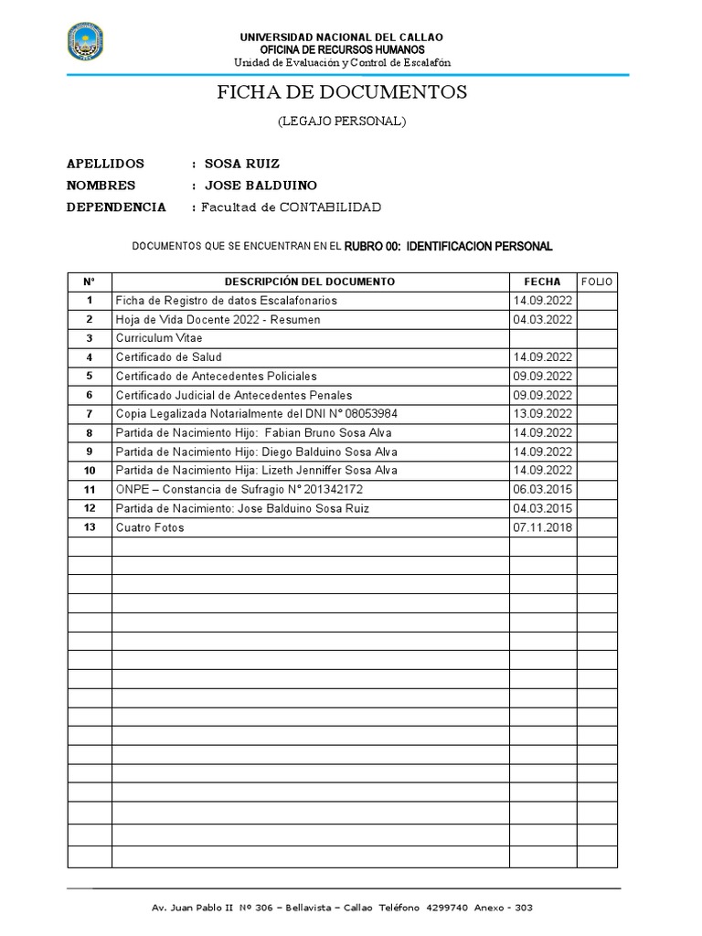 Fichas y Anexos | PDF | Contador | Auditoría