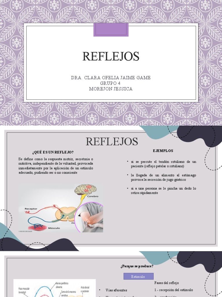 REFLEJOS | PDF | Pie | Codo