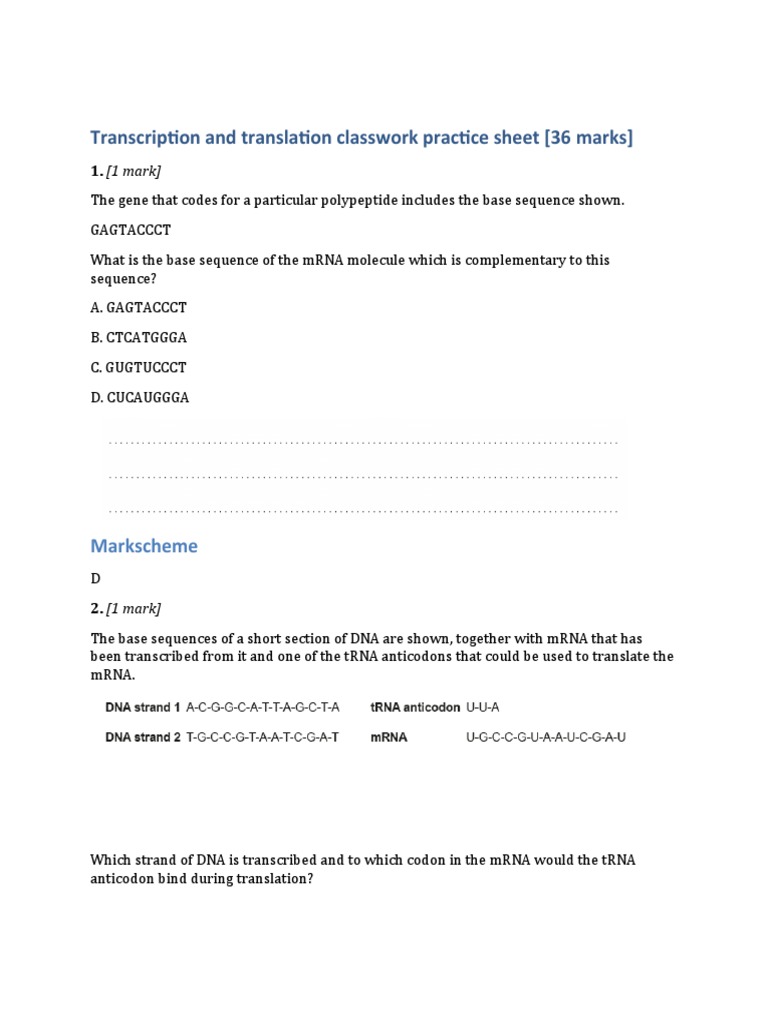 Ms Transcription And Translation Classwork Practice Sheet Pdf