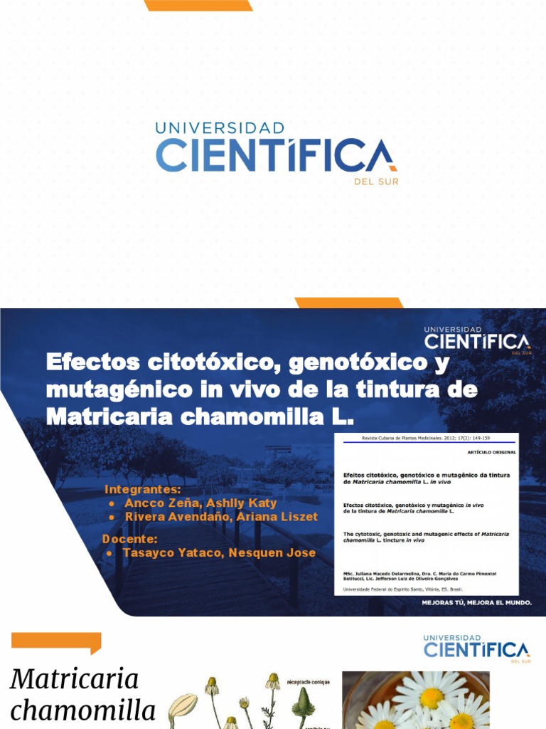 Expo 4, Efectos Citotóxico, Genotóxico y Mutagénico in Vivo de La ...