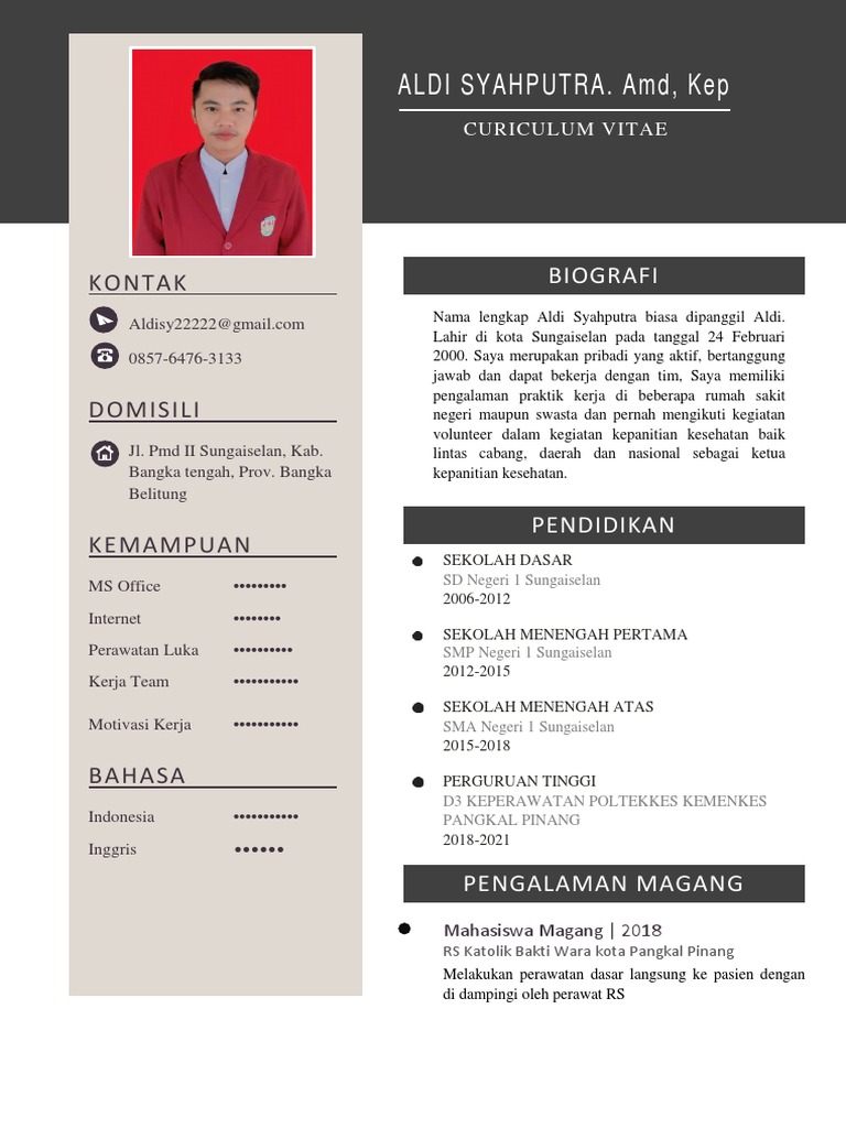 Profil Aldi Syahputra: Perawat Berpengalaman | PDF | Pengembangan Diri