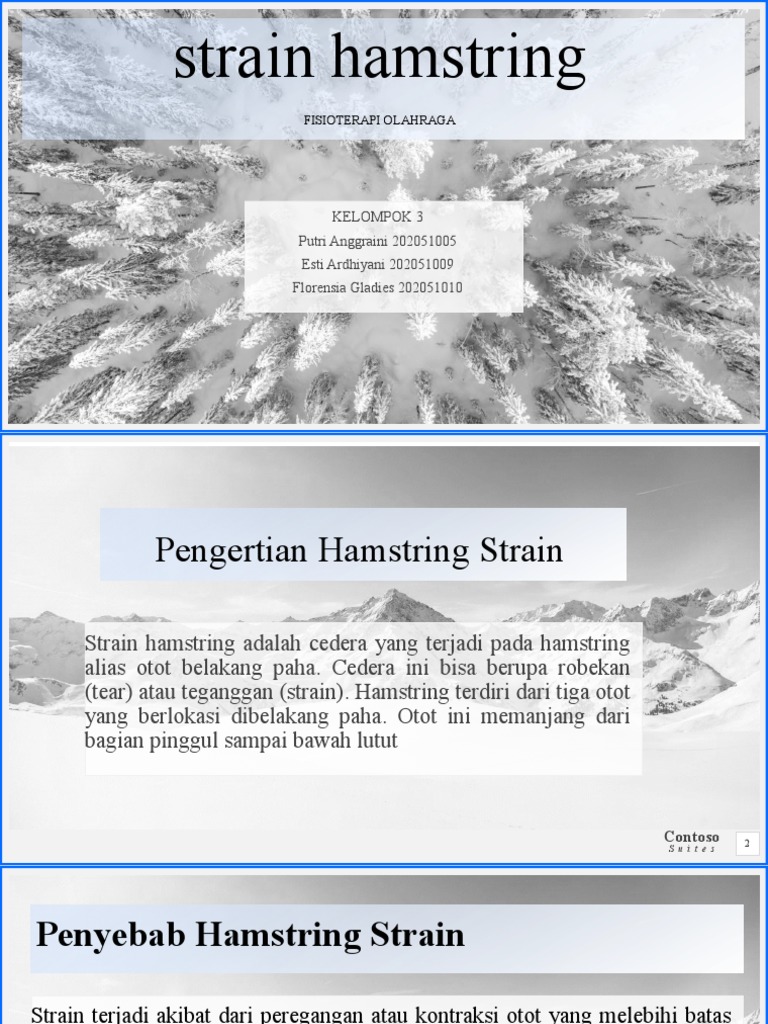 Pemahaman Strain Hamstring dan Fisioterapi | PDF