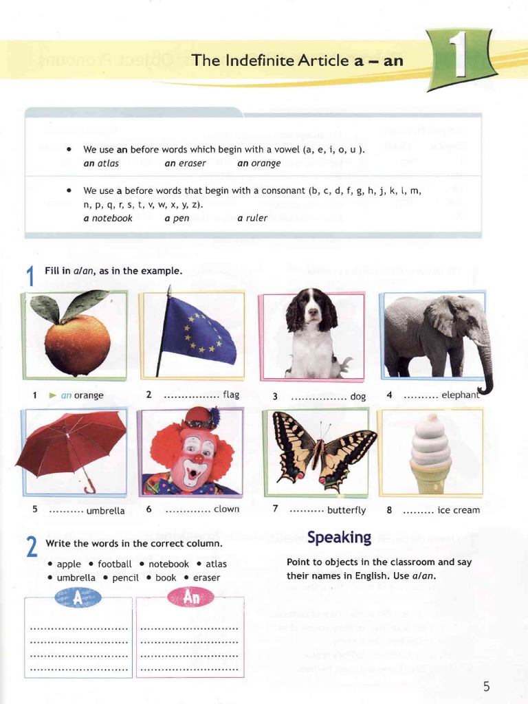Access 1 Grammar Module 1 | PDF | Grammatical Conjugation | Linguistic ...