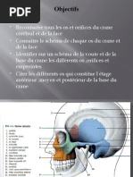 6 - Anatomie Des Os de La Face | PDF | Anatomie humaine | Appareil ...