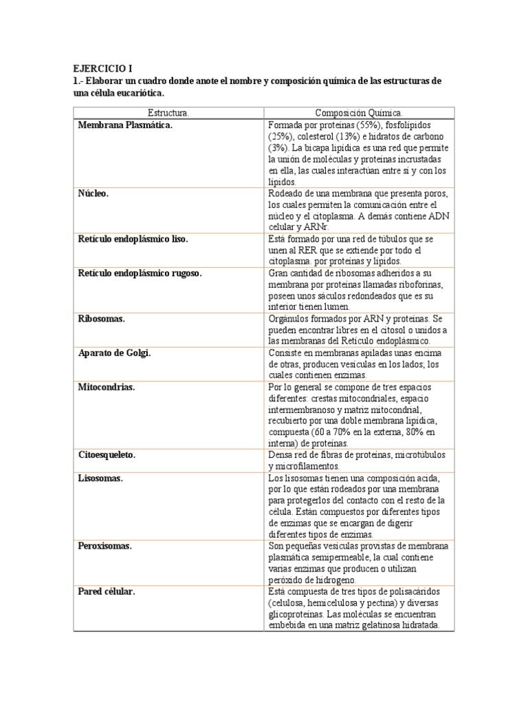 Ejercicios de Estructura, Función y Organización Celular | PDF ...