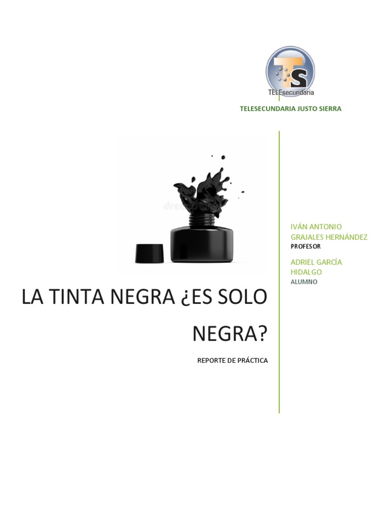 Tinta Negra Practica | PDF | Cocina, comidas y vino | Hogar, jardinería ...