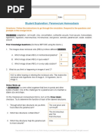 GraphingSkills LAB 2 | PDF | Chart | Scatter Plot