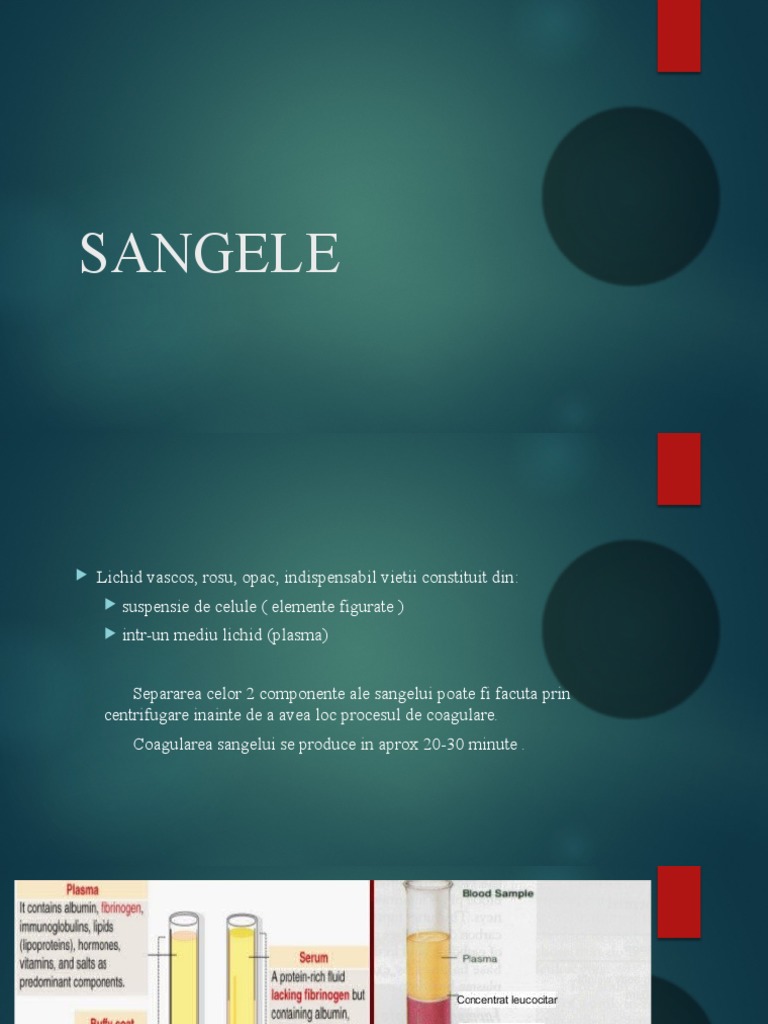 Sangele - LP1 | PDF