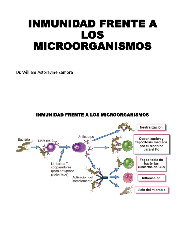 Teoria Inmunidad Frente A Los Microorganismos | PDF | Sistema inmune | Infección