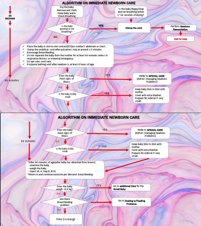 Immediate Newborn Care Algorythm | PDF | Breastfeeding | Medical ...