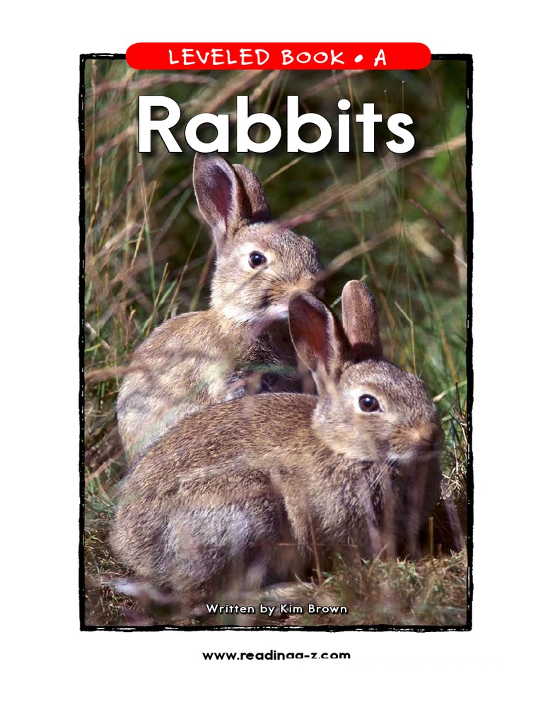 Raz La35 Rabbits | PDF
