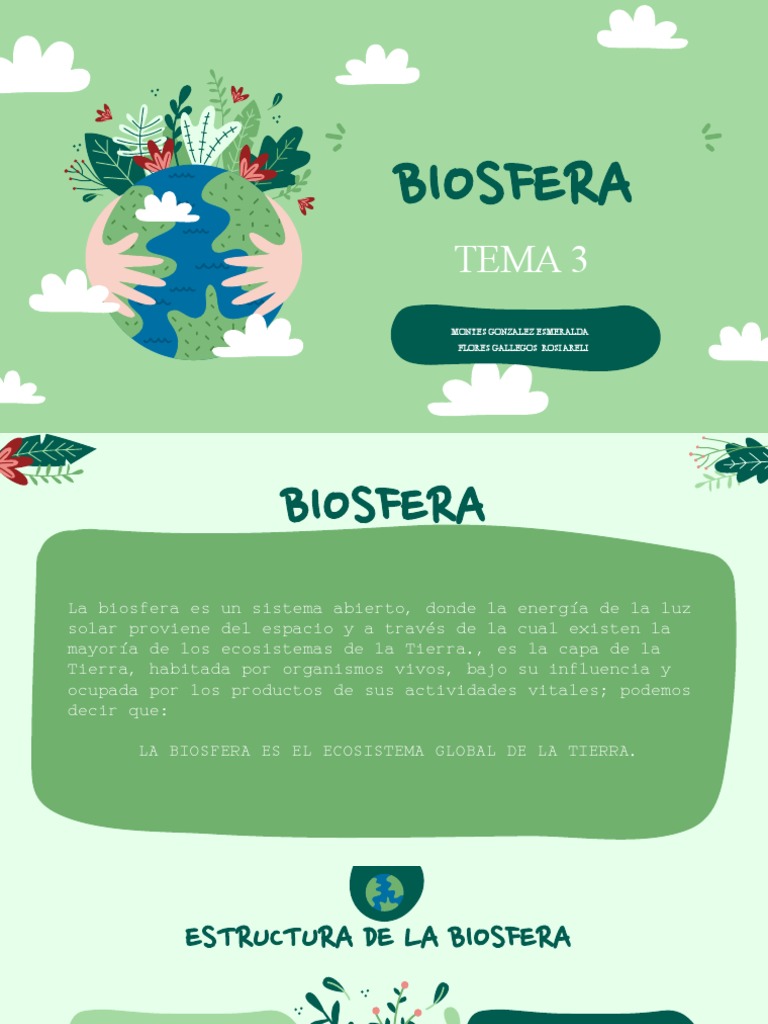 BIOSFERA | PDF | Biomasa (Ecología) | Tierra
