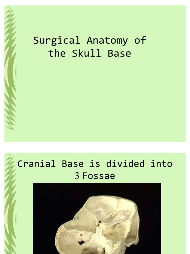 Skull Base Anatomy Overview | PDF | Common Carotid Artery | Neck