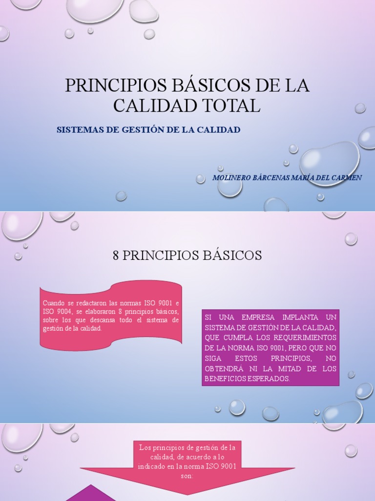 Principios Básicos de La Calidad Total1 | PDF | Calidad (comercial) | Gestión de la calidad