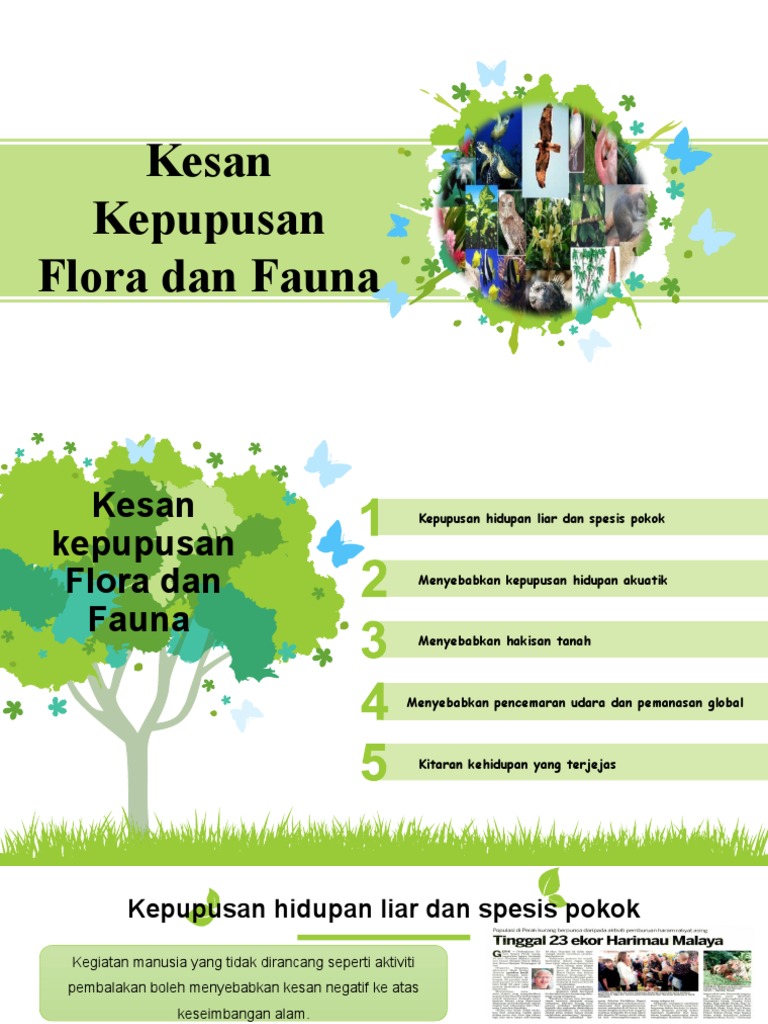 Kesan Kepupusan Flora Dan Fauna | PDF