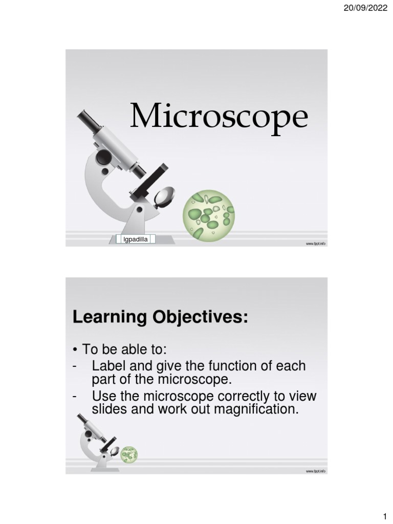 Compound Microscope | PDF | Microscope | Staining