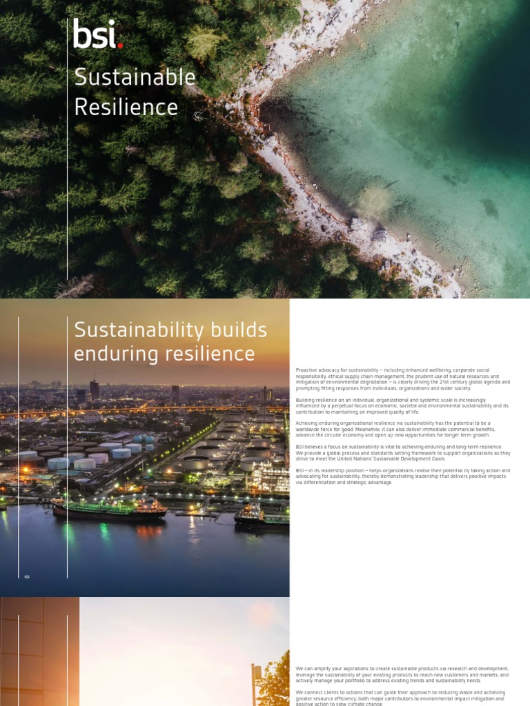 Bsi Sustainability Portfolio Range Brochure | PDF | Sustainability ...