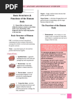 Anatomy and Physiology Chapter 1 Practice Test | PDF | Anatomical Terms ...