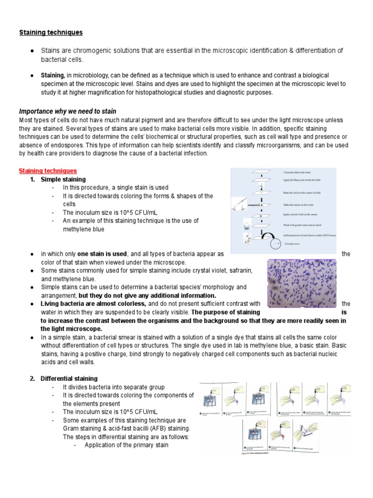 Microbial Staining Techniques | PDF | Staining | Gram Positive Bacteria