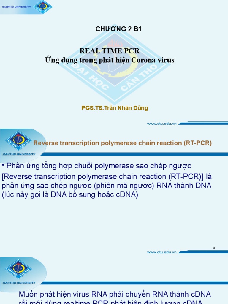 RT QPCR | PDF