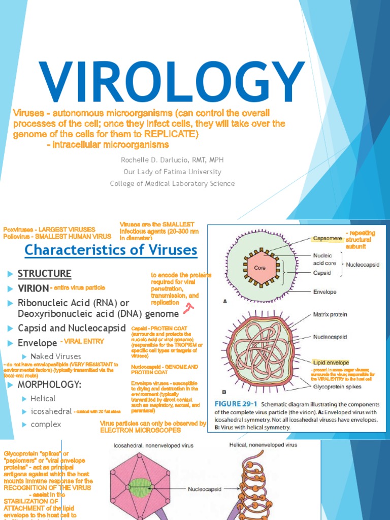 Week 7. Virology | Download Free PDF | Virus | Organisms