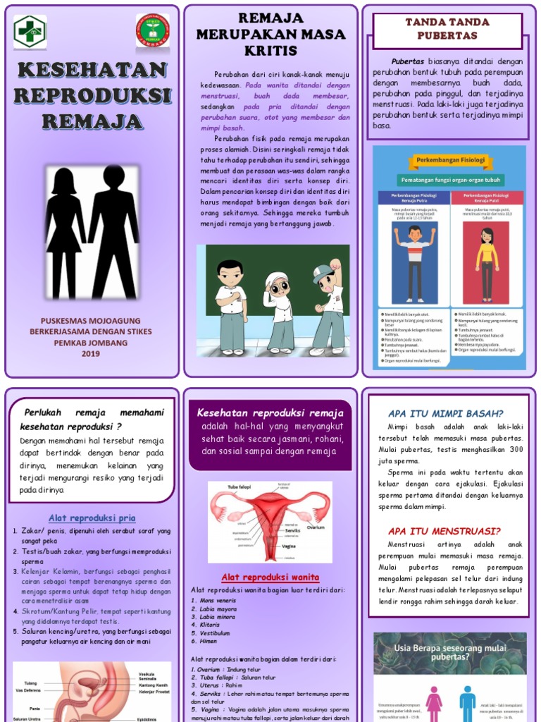 Leaflet Kespro Revisi | PDF