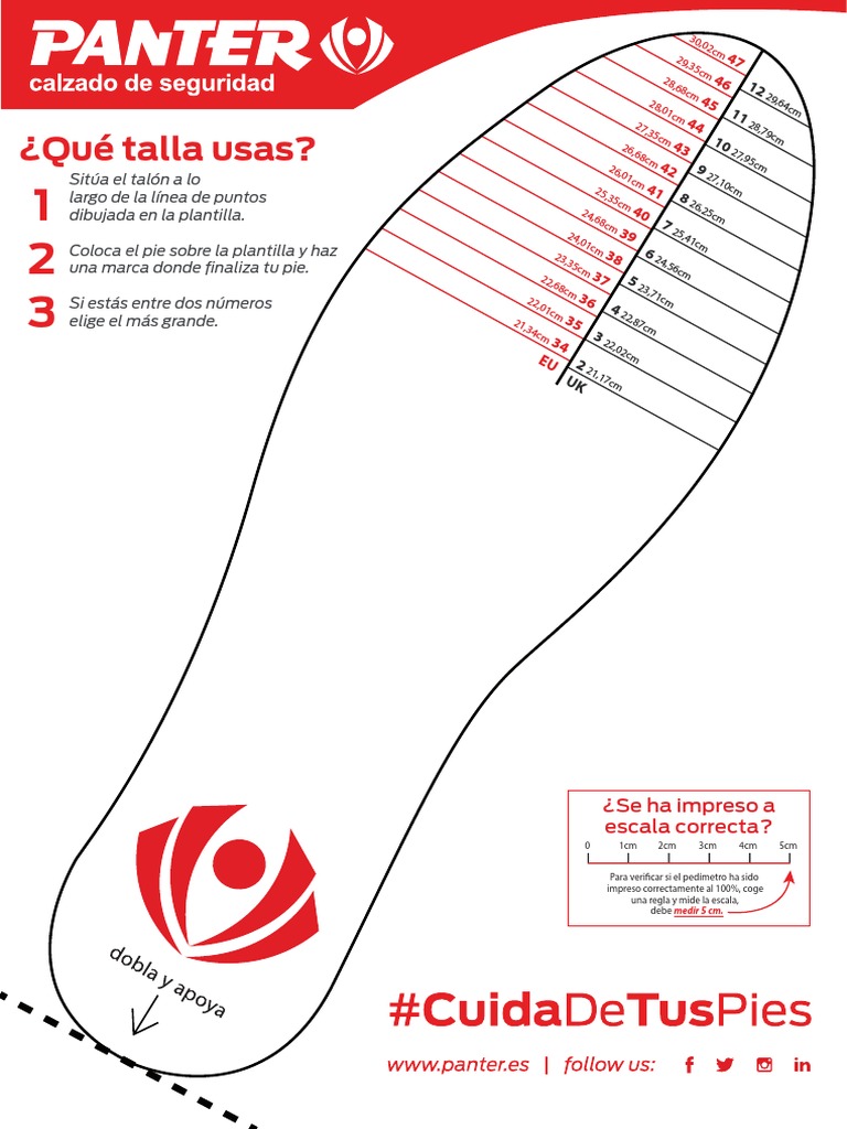 Pedimetro Panter | PDF