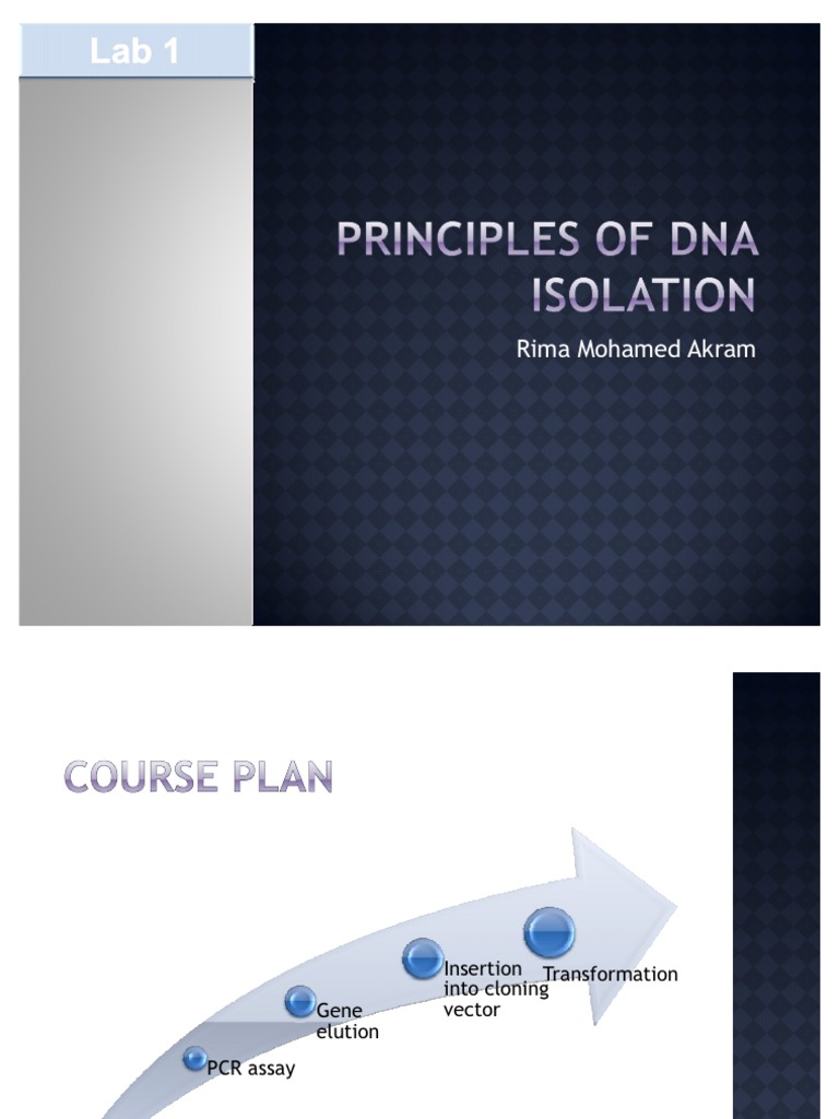 Principles of DNA Isolation | PDF