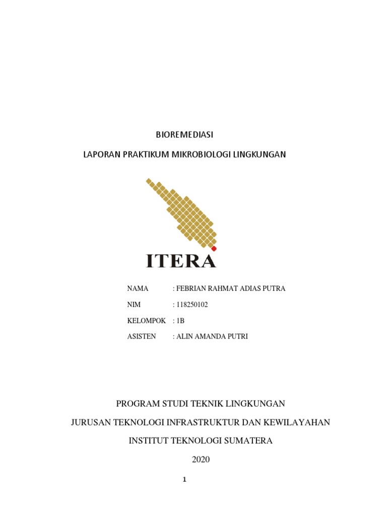 Proses Biodegradasi dalam Bioremediasi | PDF