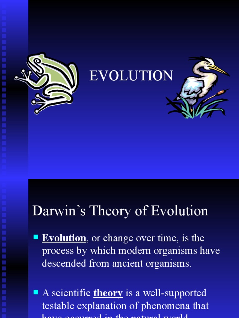 Darwin Evolution | PDF | Evolution | Natural Selection