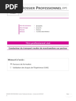 Exemple Dossier Professionnel Rempli Transport en Commun | PDF | Véhicules | Microsoft Word