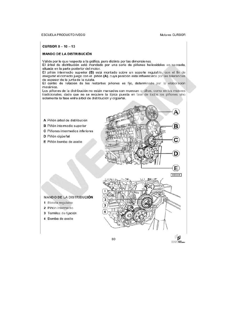 Distribucion Iveco | PDF