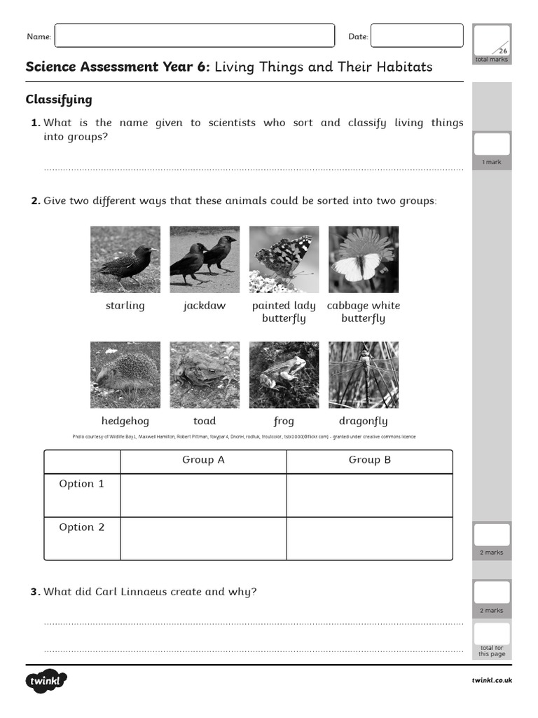 Living Things - Questions | PDF | Taxonomy (Biology) | Decomposition