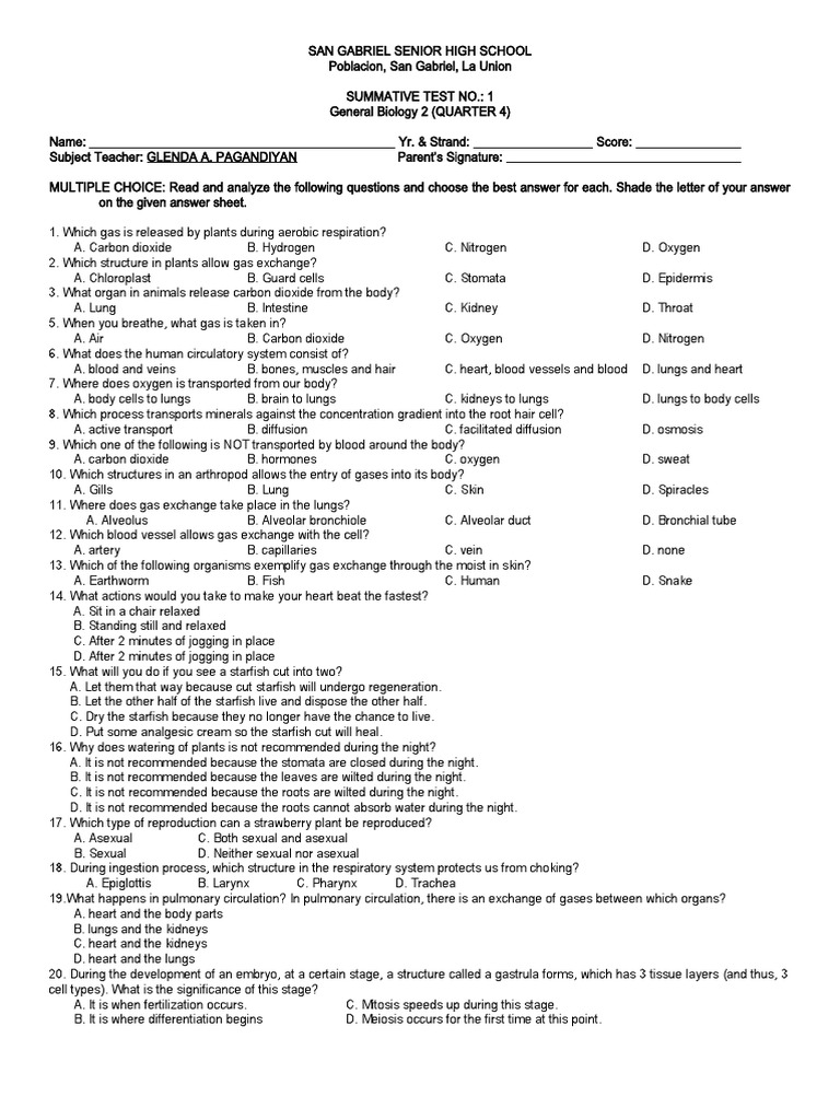 Summative Test 4 | PDF