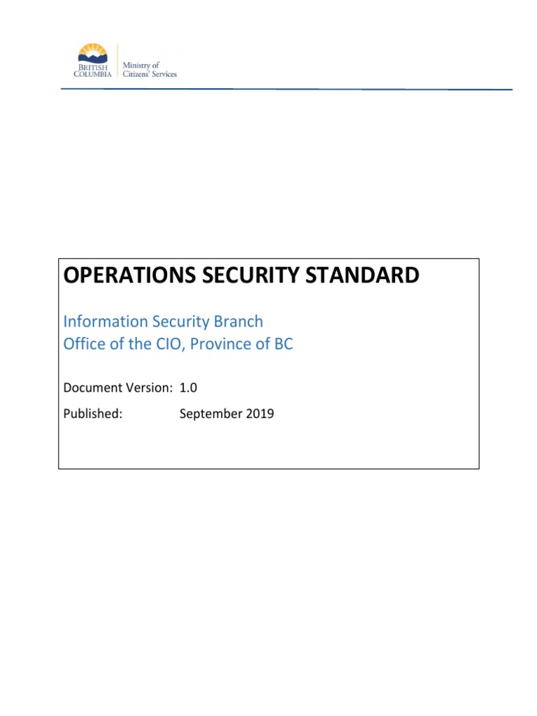 08 - Operations Security Standard v10 | PDF | Information Security | Vulnerability (Computing)