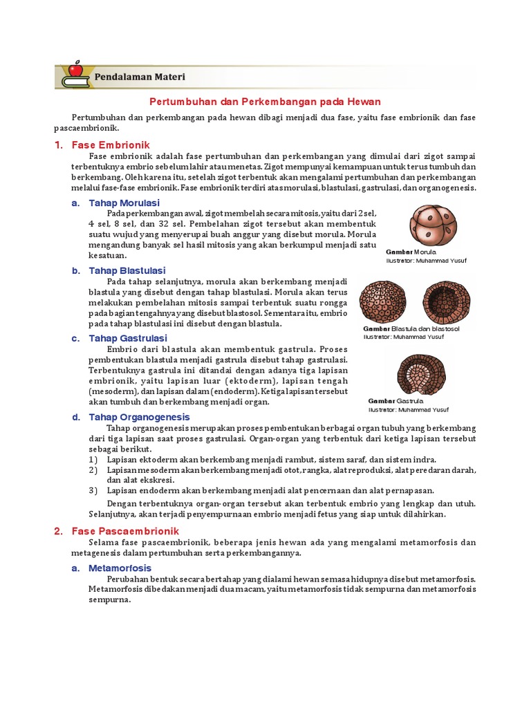 Fase Embrionik dan Metagenesis Hewan | PDF
