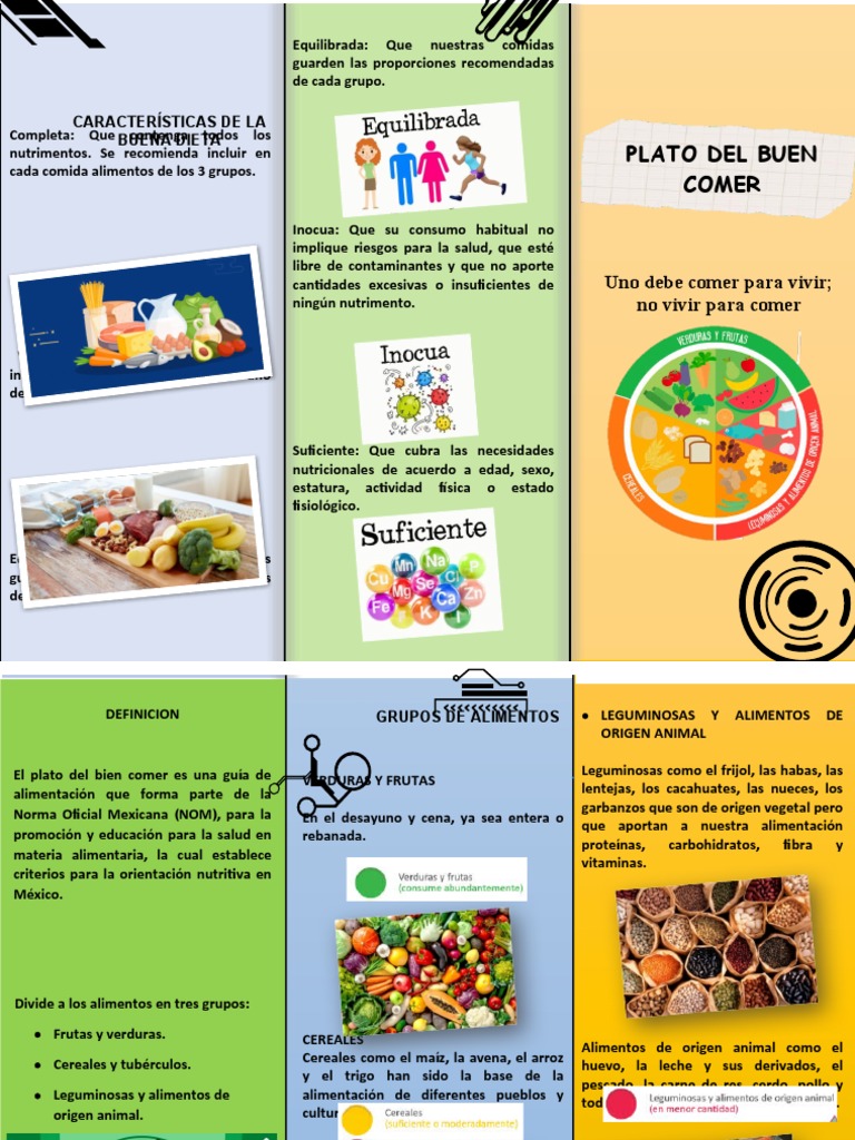 Tríptico del Plato del Buen Comer | PDF | Alimentos | Cereales