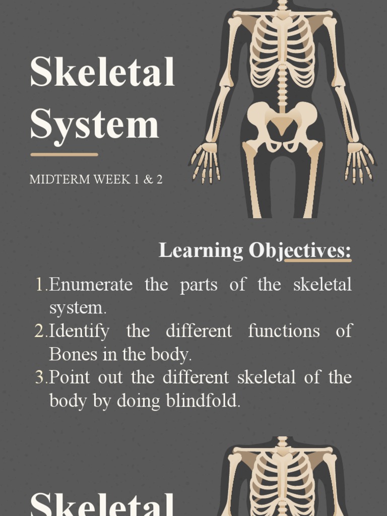 Skeletal System Week 1 3 | Download Free PDF | Skeleton | Foot