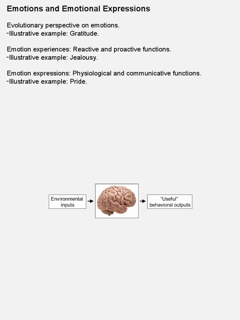 Evolution of Emotions: Reactive and Proactive Functions of Emotion ...