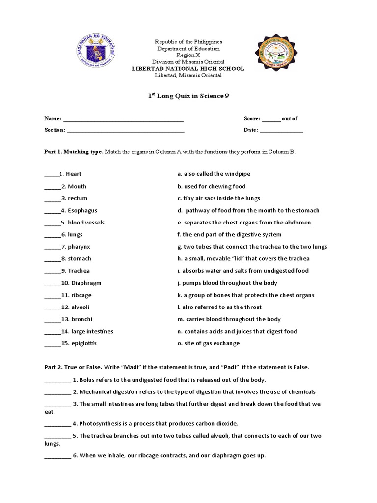 1st Long Quiz in Science | PDF | Respiratory Tract | Respiratory System