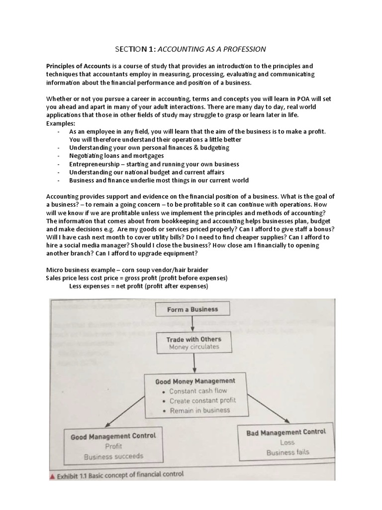 Introduction to Accounting Principles | PDF | Accounting | Income Statement