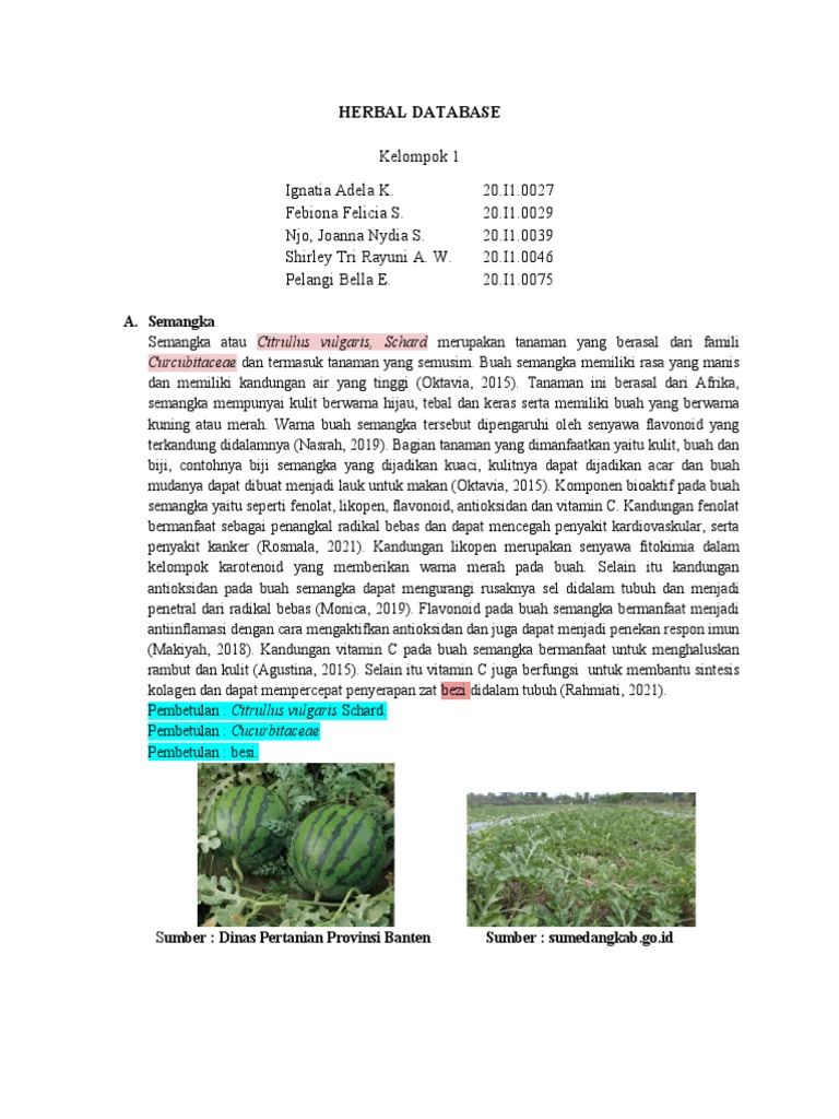 Review Database Kelompok1 | PDF