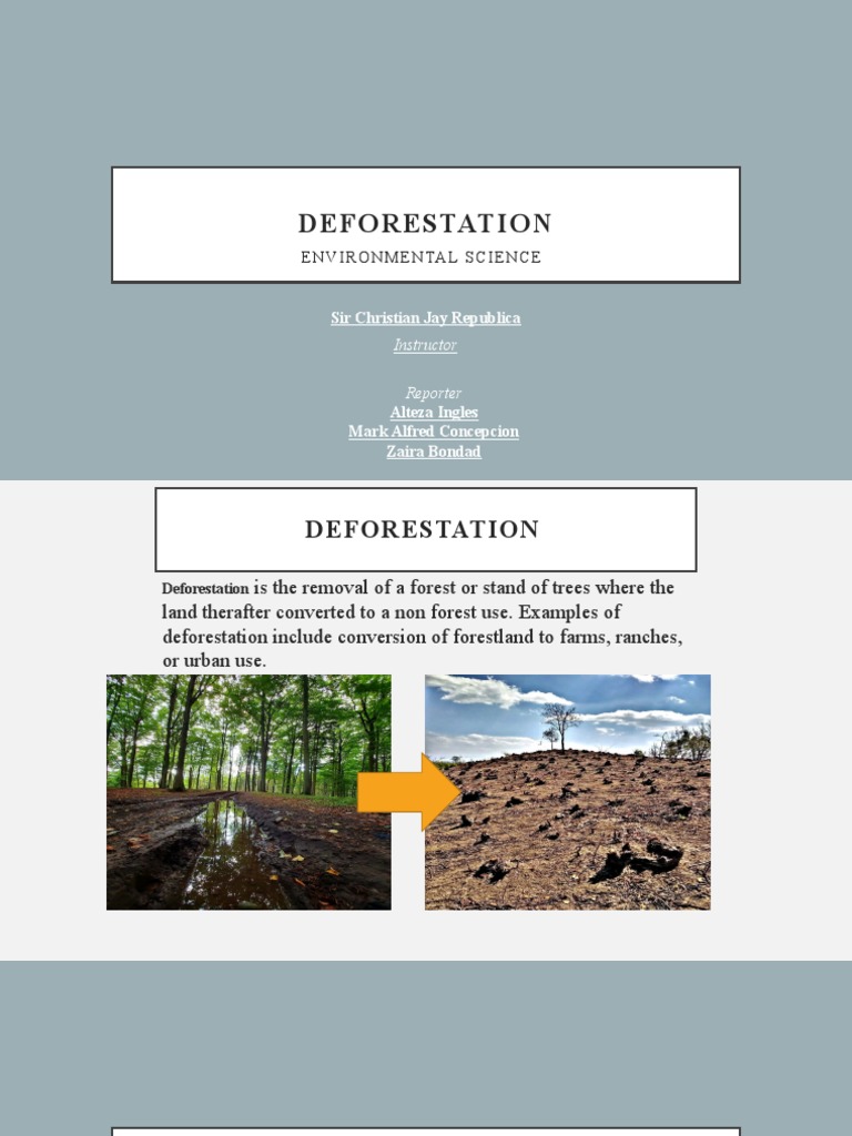 Presentation Environmental Science | PDF | Deforestation | Forests
