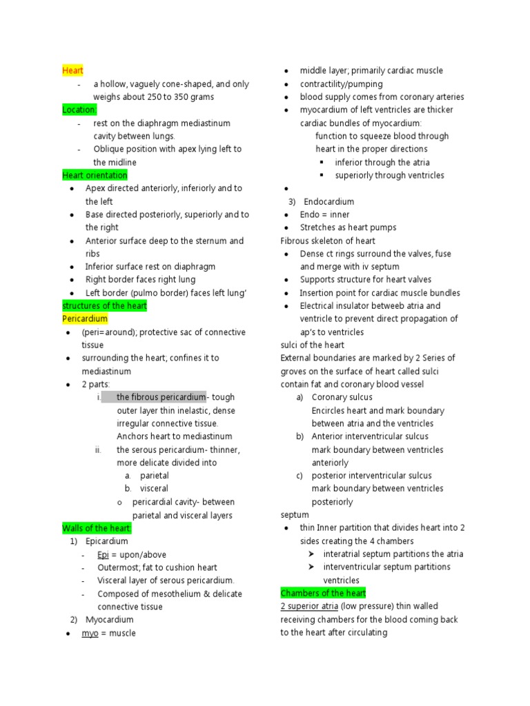 The Human Heart | PDF | Heart | Heart Valve