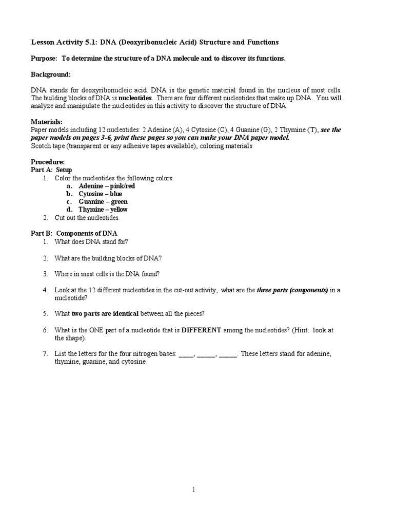 DNA Cut Out Activity | PDF | Dna | Nucleotides