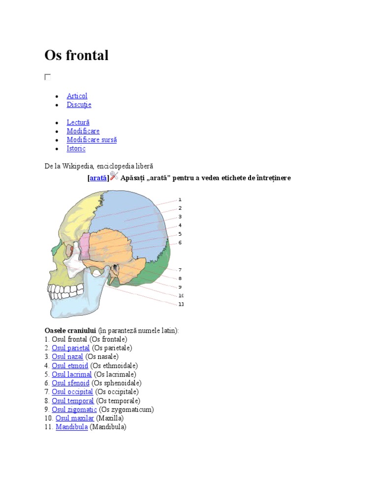 Osul Frontal | PDF